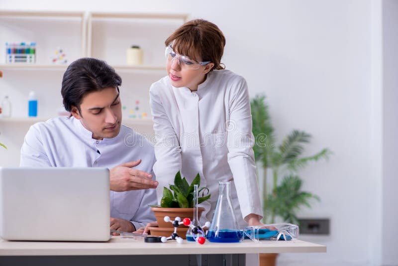 Two Young Botanist Working in the Lab Stock Image - Image of biological ...