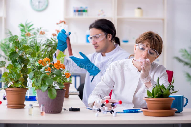 Two Young Botanist Working in the Lab Stock Image - Image of floral ...
