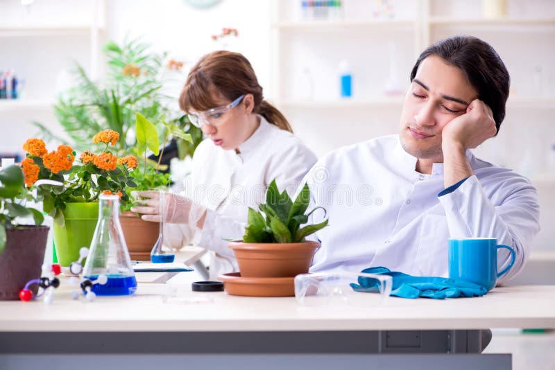 Two Young Botanist Working in the Lab Stock Image - Image of ...