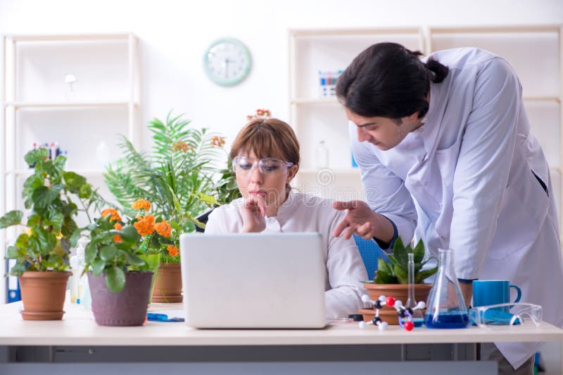 Two Young Botanist Working in the Lab Stock Photo - Image of green ...