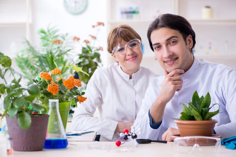 Two Young Botanist Working in the Lab Stock Image - Image of potted ...