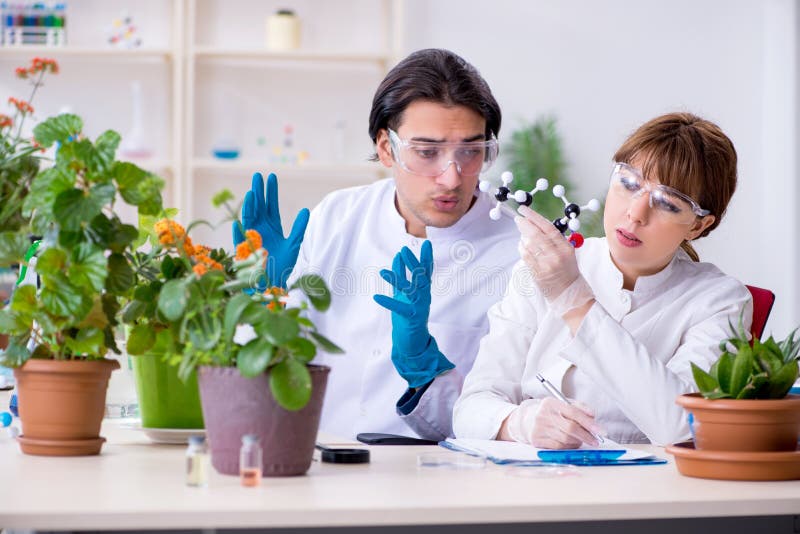 Two Young Botanist Working in the Lab Stock Image - Image of organic ...