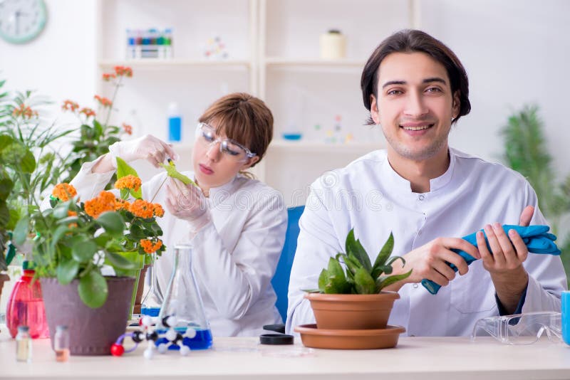 Two Young Botanist Working in the Lab Stock Image - Image of ...