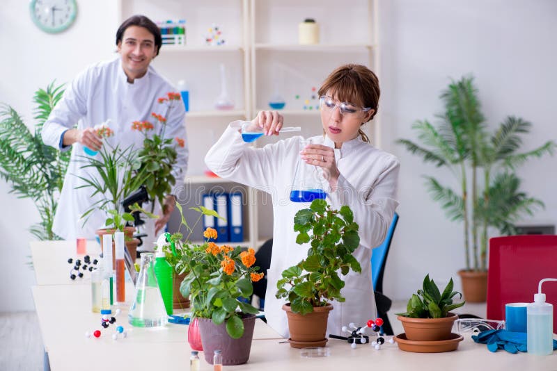 Two Young Botanist Working in the Lab Stock Image - Image of botanist ...