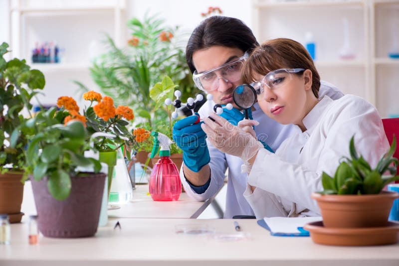 Two Young Botanist Working in the Lab Stock Image - Image of natural ...