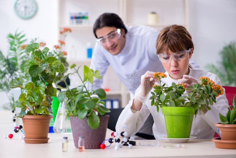 Two Young Botanist Working in the Lab Stock Image - Image of natural ...