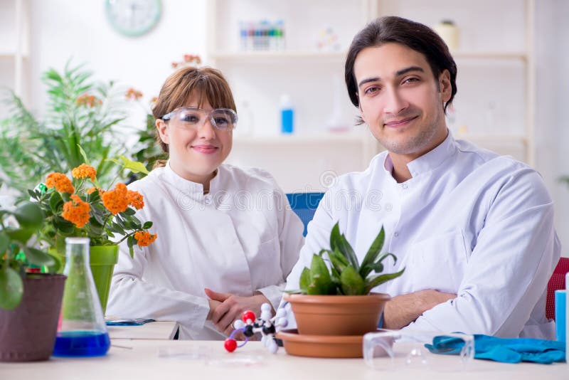 Two Young Botanist Working in the Lab Stock Image - Image of green ...