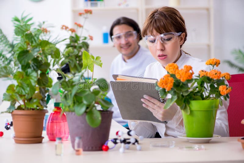 Two Young Botanist Working in the Lab Stock Image - Image of report ...
