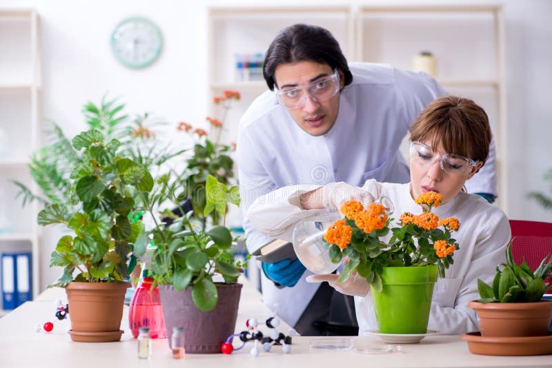 Two Young Botanist Working in the Lab Stock Photo - Image of floral ...