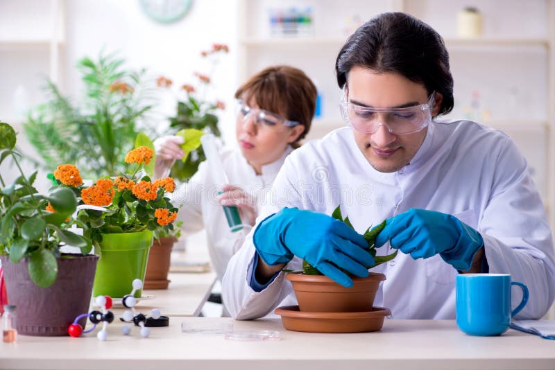Two Young Botanist Working in the Lab Stock Image - Image of pots ...