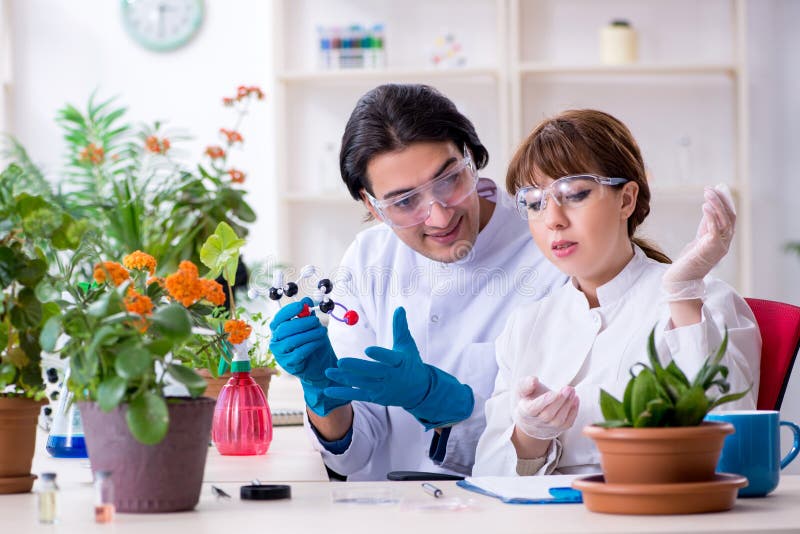 Two Young Botanist Working in the Lab Stock Photo - Image of flowers ...