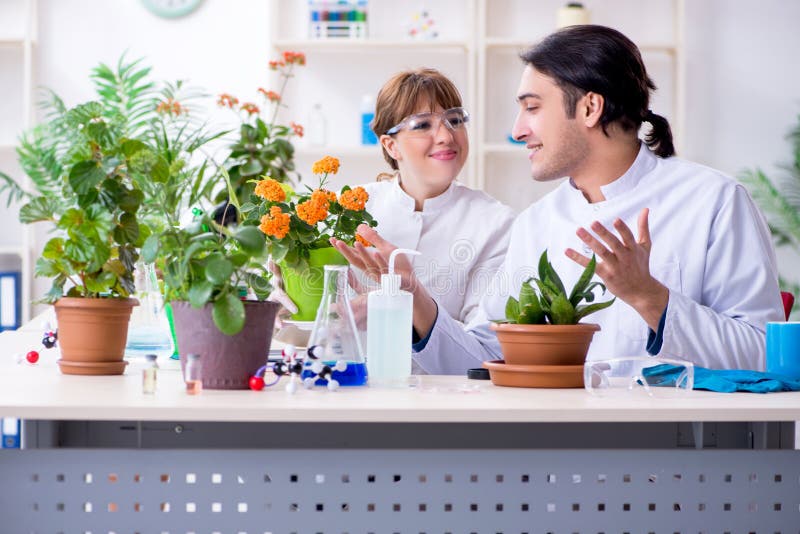 Two Young Botanist Working in the Lab Stock Photo - Image of botanist ...