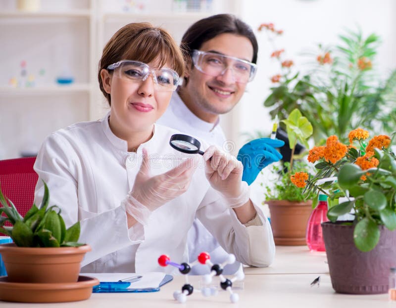 Two Young Botanist Working in the Lab Stock Image - Image of botanist ...