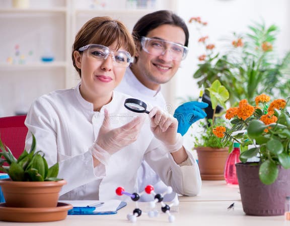 Two Young Botanist Working in the Lab Stock Image - Image of botanist ...