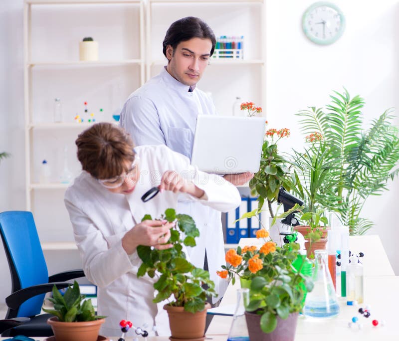 Two Young Botanist Working in the Lab Stock Photo - Image of biology ...