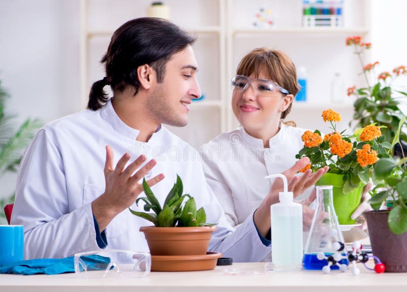 Two Young Botanist Working in the Lab Stock Image - Image of plants ...