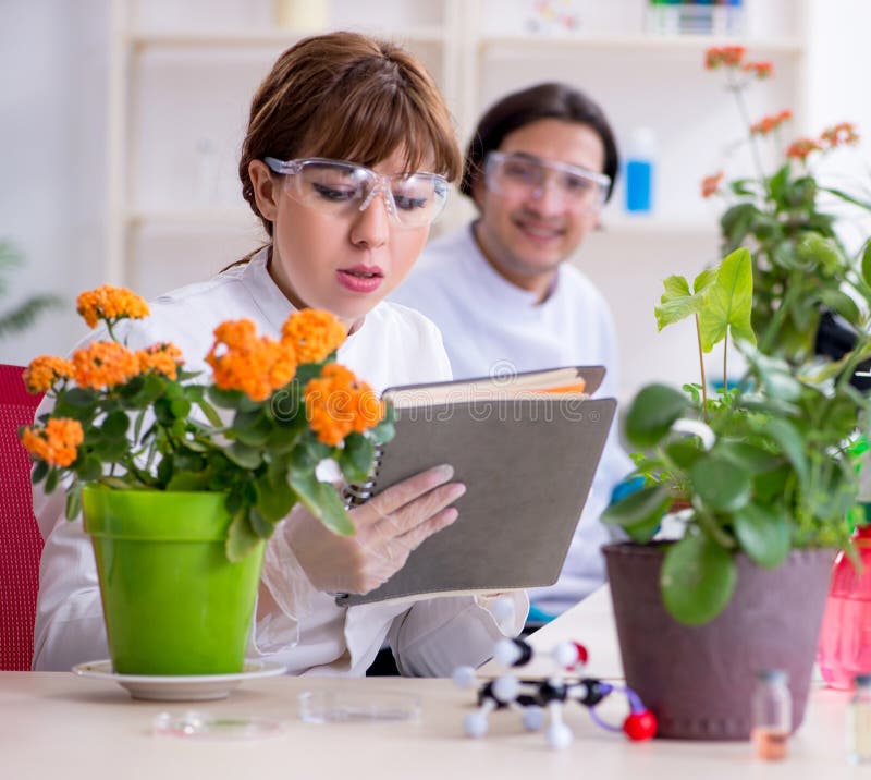 Two Young Botanist Working in the Lab Stock Photo - Image of plant ...