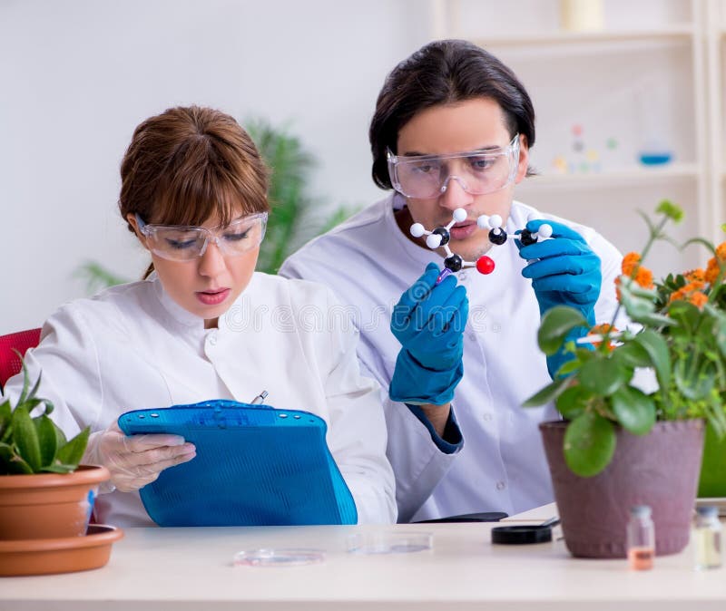Two Young Botanist Working in the Lab Stock Photo - Image of botanist ...