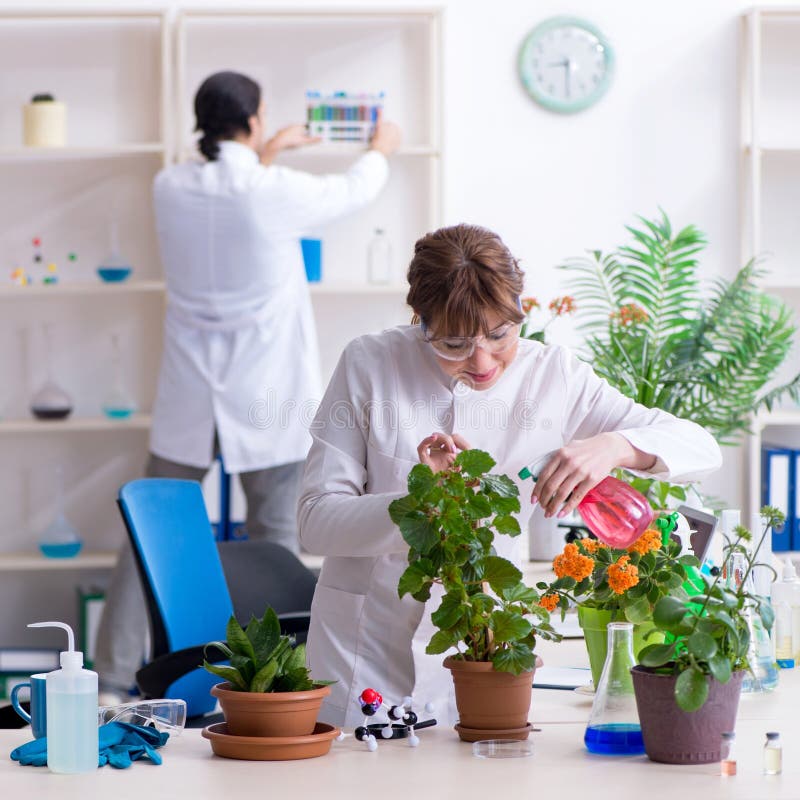 Two Young Botanist Working in the Lab Stock Image - Image of flowers ...