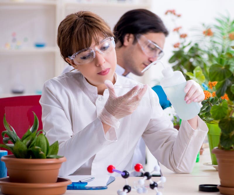 Two Young Botanist Working in the Lab Stock Photo - Image of ...