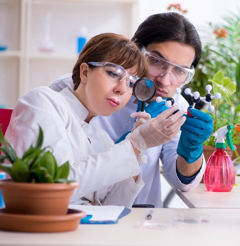 Two Young Botanist Working in the Lab Stock Image - Image of magnifying ...