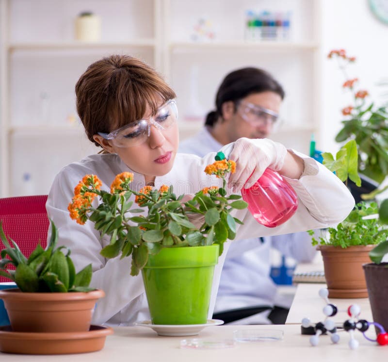 Two Young Botanist Working in the Lab Stock Image - Image of green ...