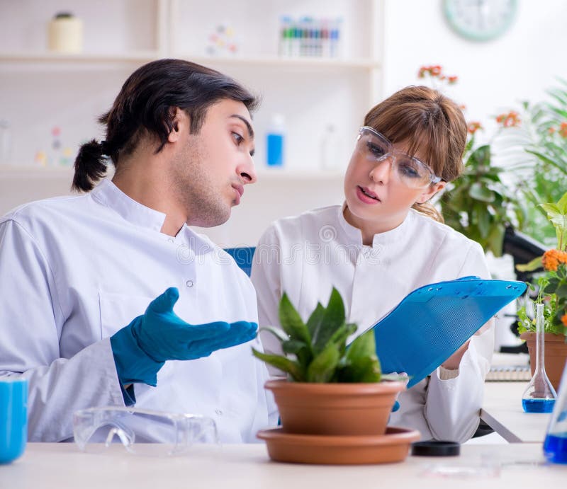 Two Young Botanist Working in the Lab Stock Photo - Image of biological ...