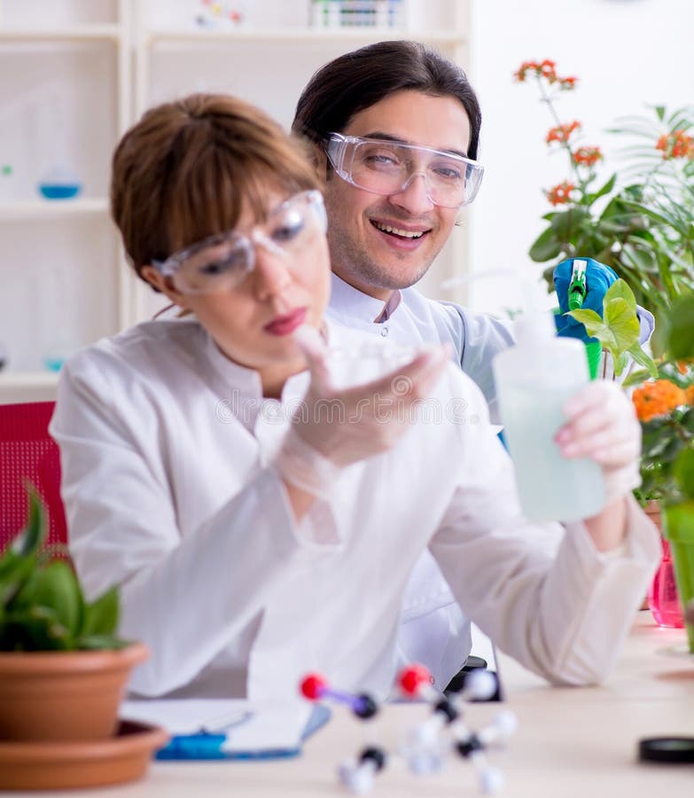 Two Young Botanist Working in the Lab Stock Image - Image of laboratory ...