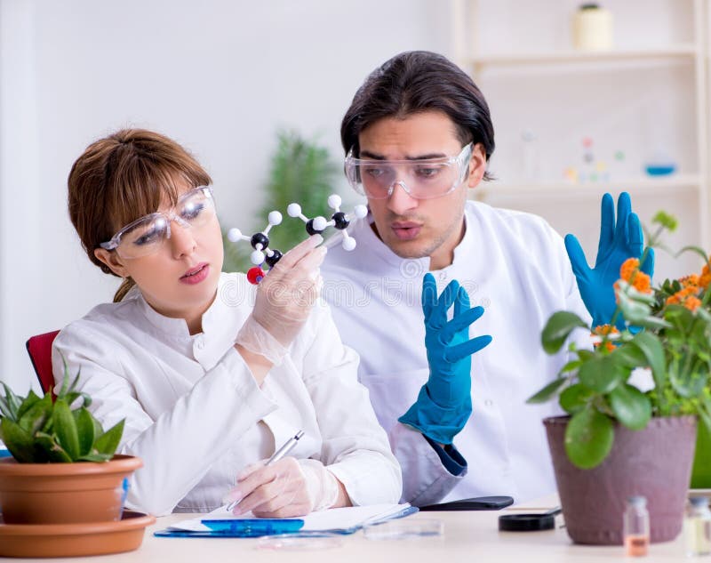 Two Young Botanist Working in the Lab Stock Image - Image of planting ...
