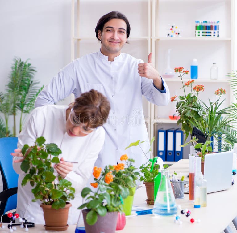 Two Young Botanist Working in the Lab Stock Photo - Image of holding ...