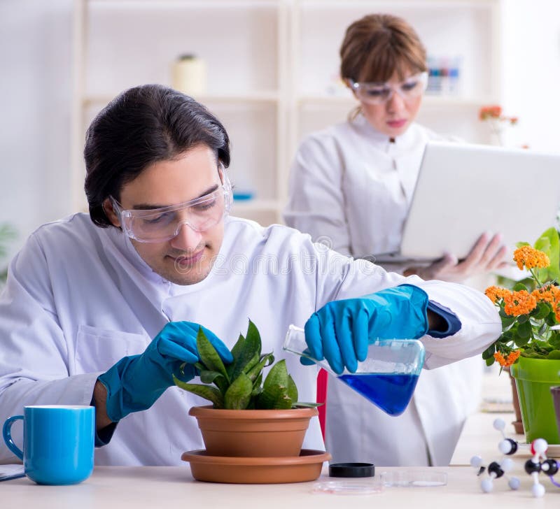 Two Young Botanist Working in the Lab Stock Photo - Image of potted ...
