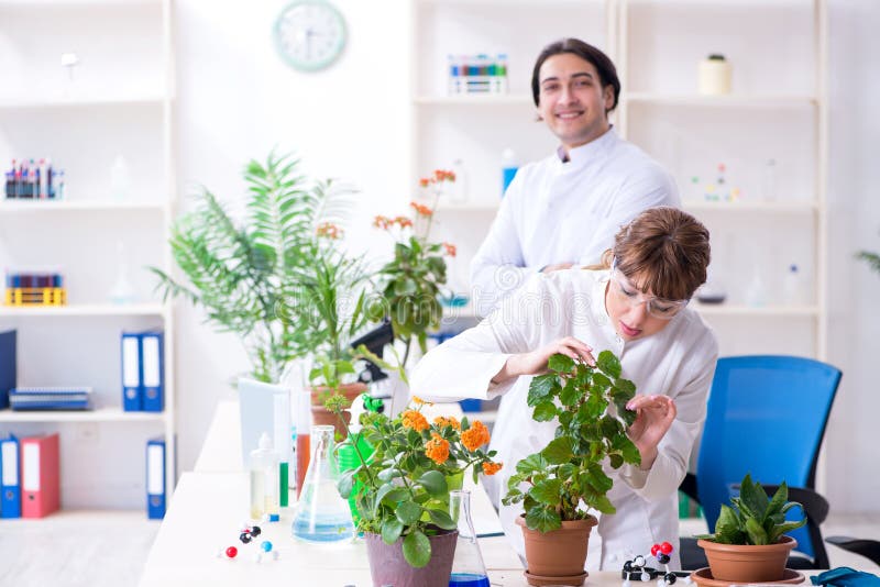 Two Young Botanist Working in the Lab Stock Photo - Image of ...