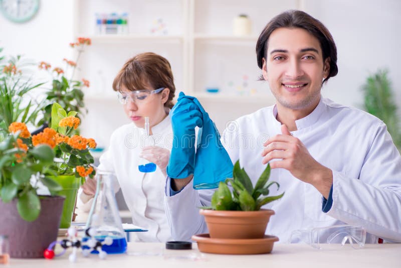 Two Young Botanist Working in the Lab Stock Photo - Image of grass ...