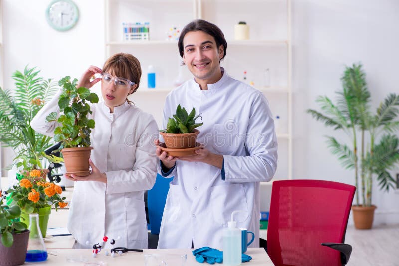 Two Young Botanist Working in the Lab Stock Image - Image of botany ...