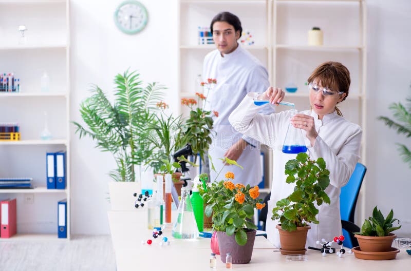 Two Young Botanist Working in the Lab Stock Image - Image of glass ...