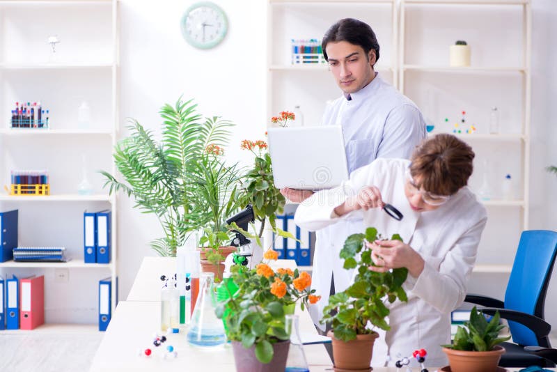Two Young Botanist Working in the Lab Stock Image - Image of flower ...