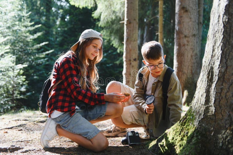 Young Explorers Examining Nature in Forest with Magnifying Glass Stock ...