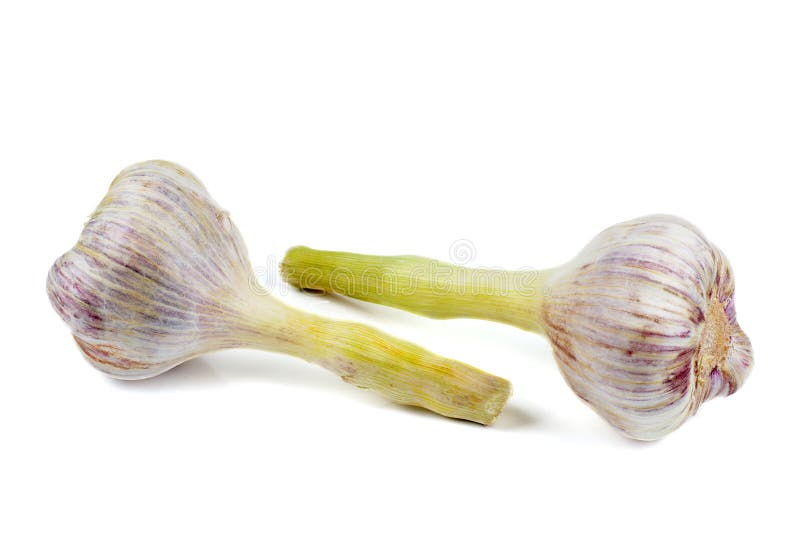 Raw Garlic. Two Heads of Garlic Isolated on White Stock Image - Image ...