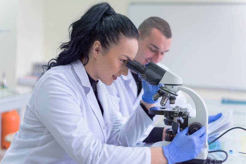 Two Young Scientists Working in a Laboratory and Doing Research ...