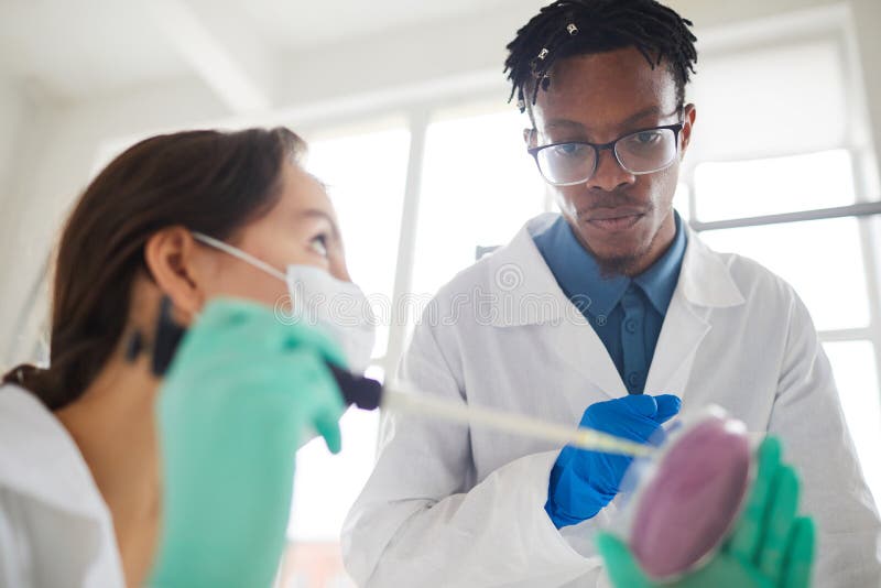 Two Young Scientists Working in Laboratory Stock Photo - Image of ... Two Young Scientists Working in Laboratory Stock Photo - Image of ...