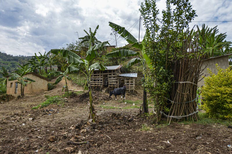 African Women Walking Rural Street Stock Photos - Free & Royalty-Free ...