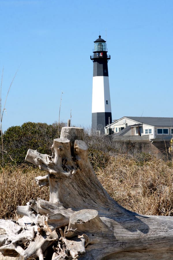 Tybee Island Lighthouse stock photo. Image of seascape - 13004568