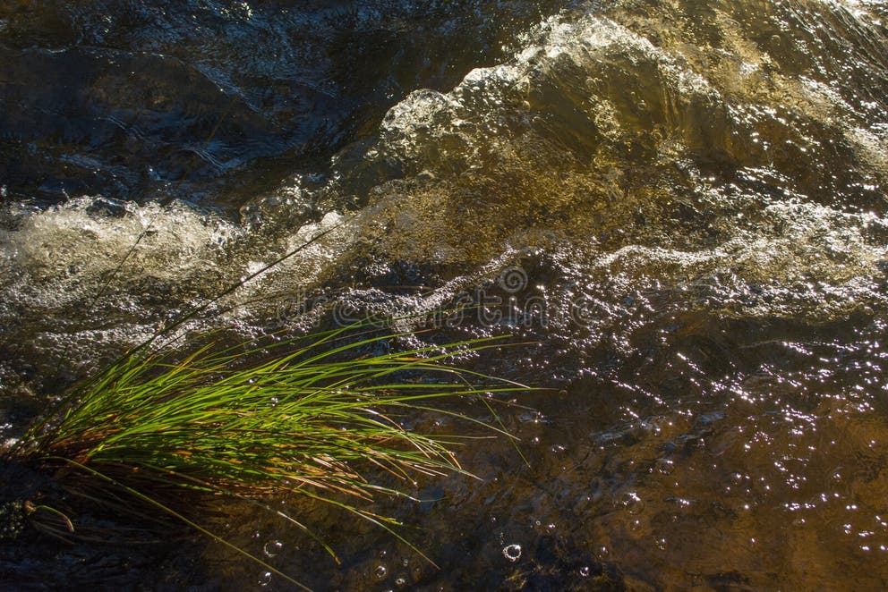 Tyenna River Tasmania stock image. Image of reflection - 52378073