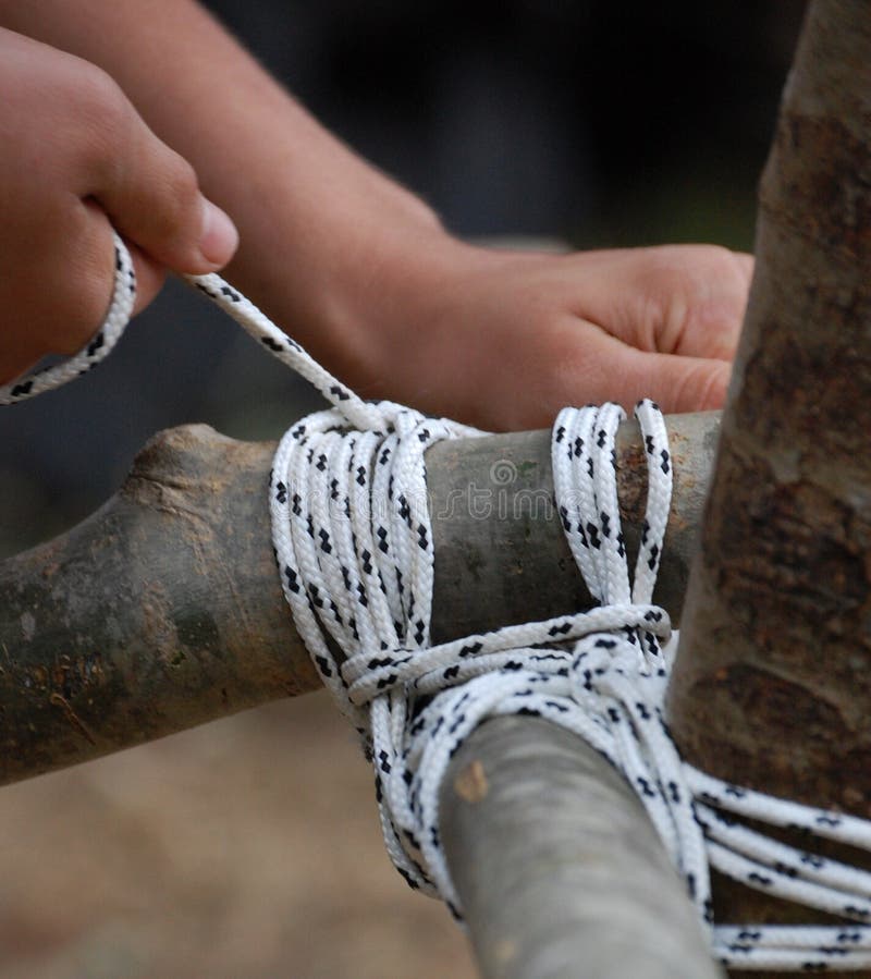 Tying stock photo. Image of wood, join, pole, scouting - 12469534