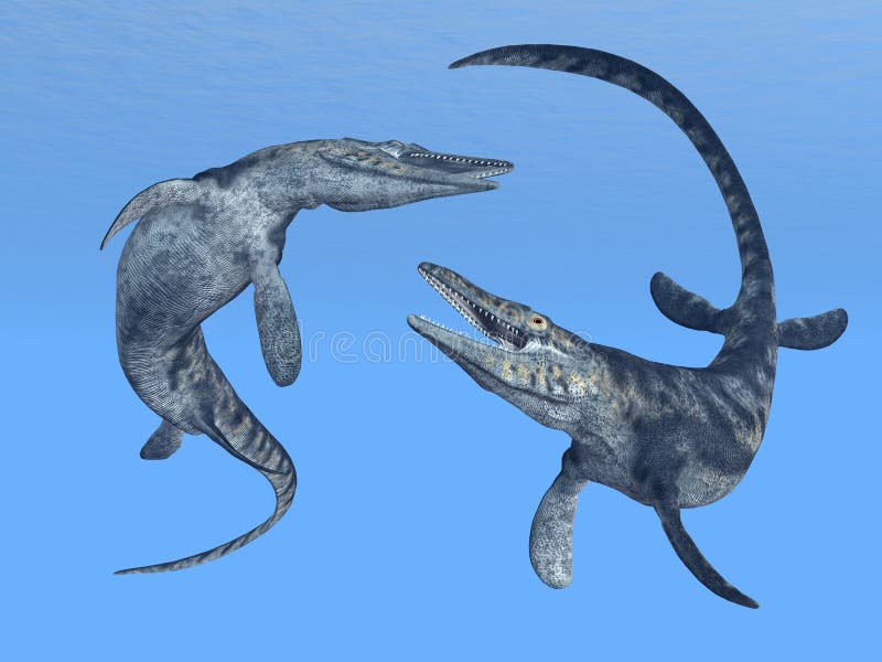 Tylosaurus stock illustration. Illustration of paleontology - 31241411