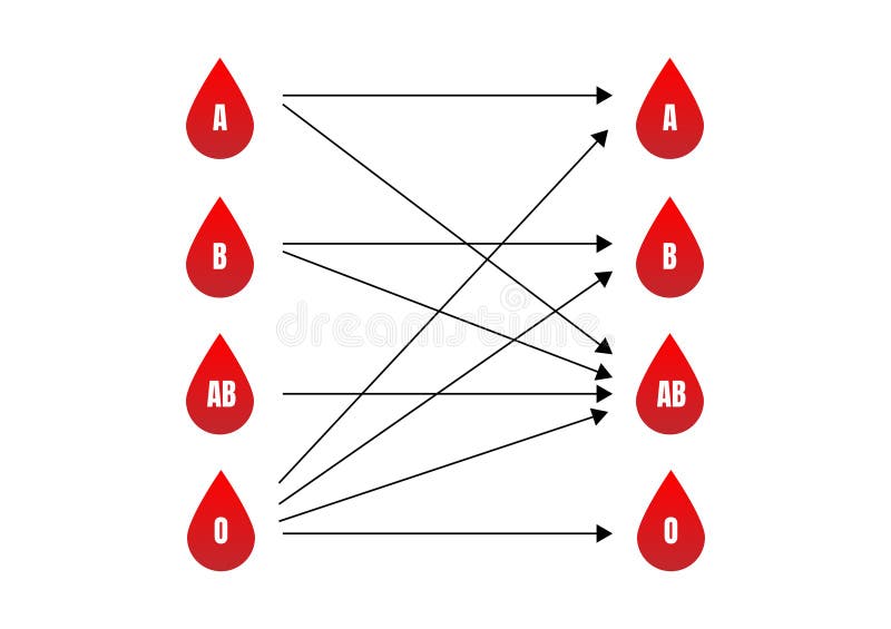 ABO Blood Group Test. Scientific Technology. Stock Vector ...