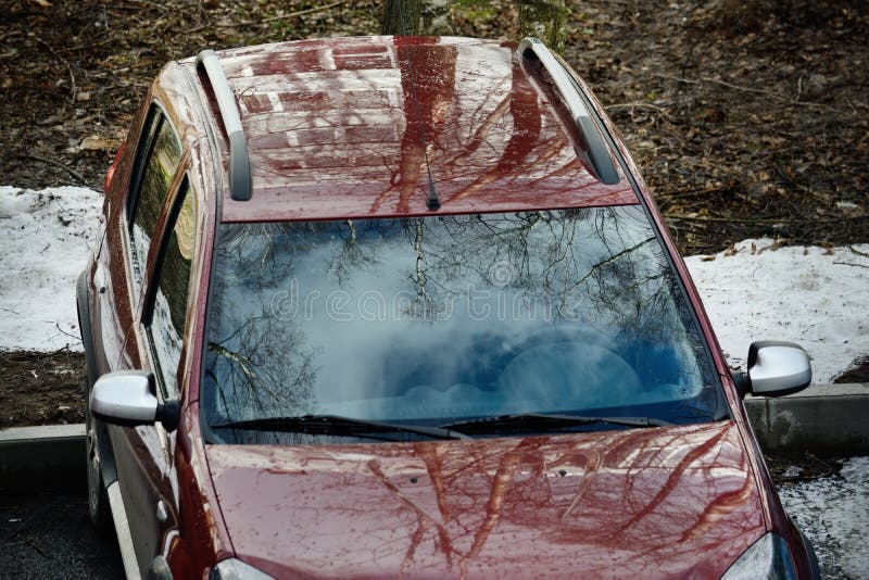 Type of the Car from Above with Reflection of the Sky and Trees in a ...