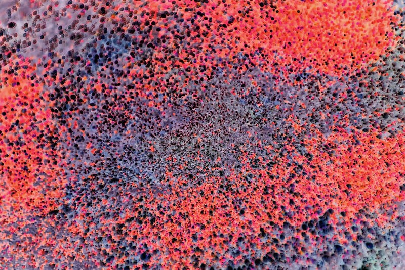 Type De Bactéries Sous Microscope, Bactéries Et Microorganismes Image ...