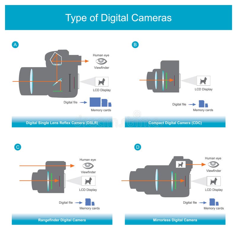 Type of Digital Cameras stock illustration. Illustration of equipment ...