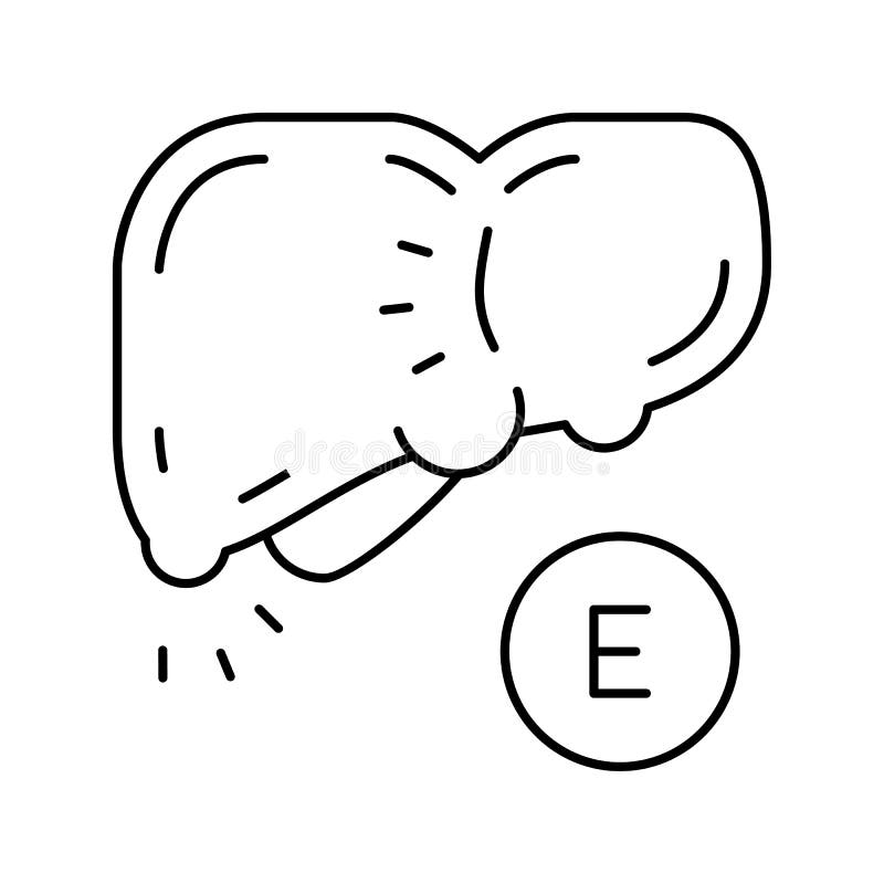 Type E Hepatitis Line Icon Vector Illustration Stock Vector ...